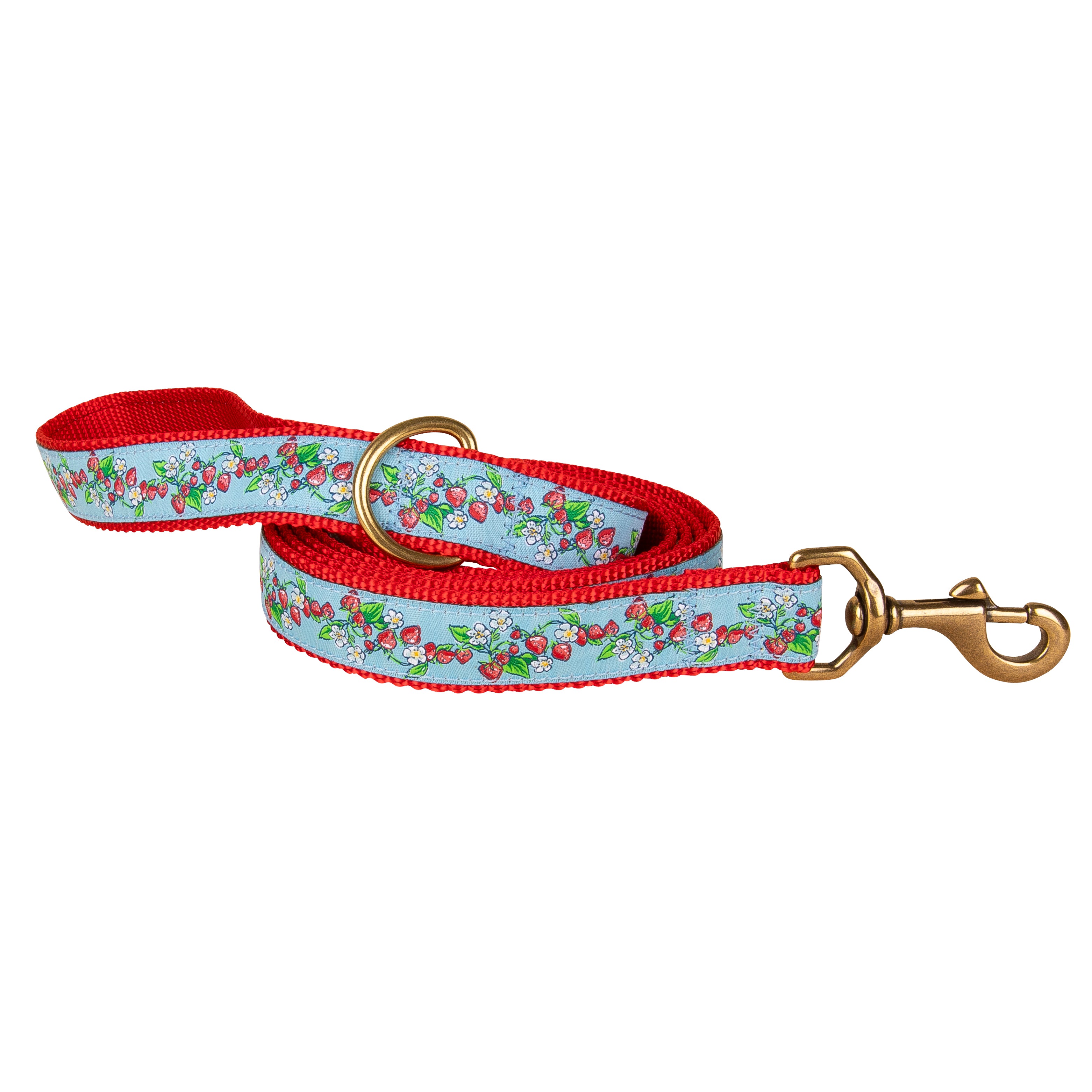 Strawberries Ribbon Dog Leash