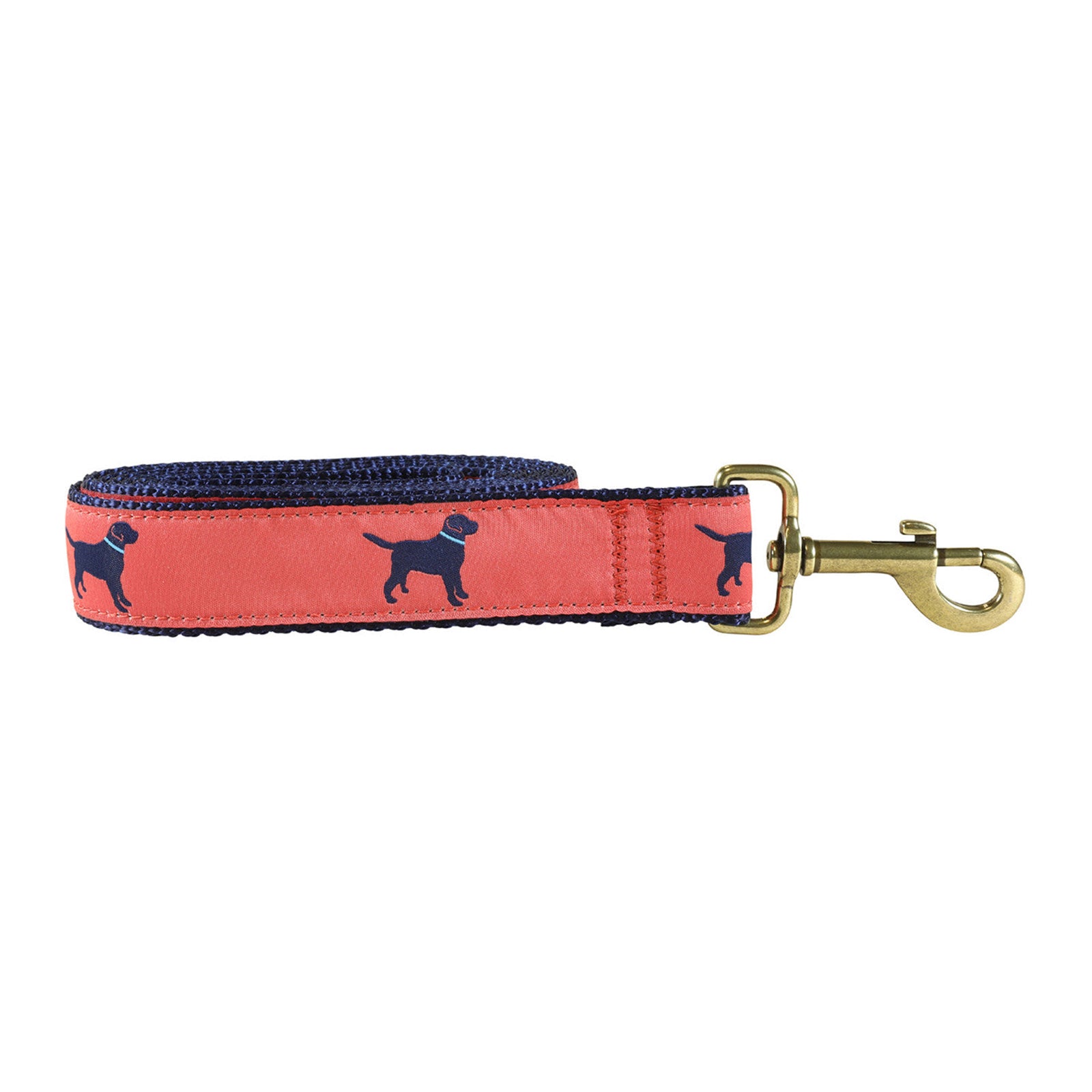 Labrador Retriever Ribbon Dog Leash